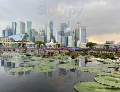 Miracle Coffee At Marina Bay Sands, Singapore - Menu & Reviews