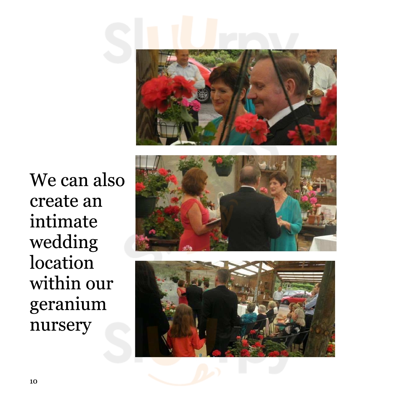 Geranium Cottage Cafe menù, Dural - Main Menu | Sluurpy